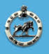 Odisha Jobs - Consultant, Jr Consultant Jobs in Directorate of ...